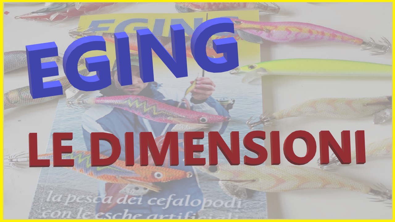 Eging, le dimensioni degli egi – VIDEO 2 - Planetspin