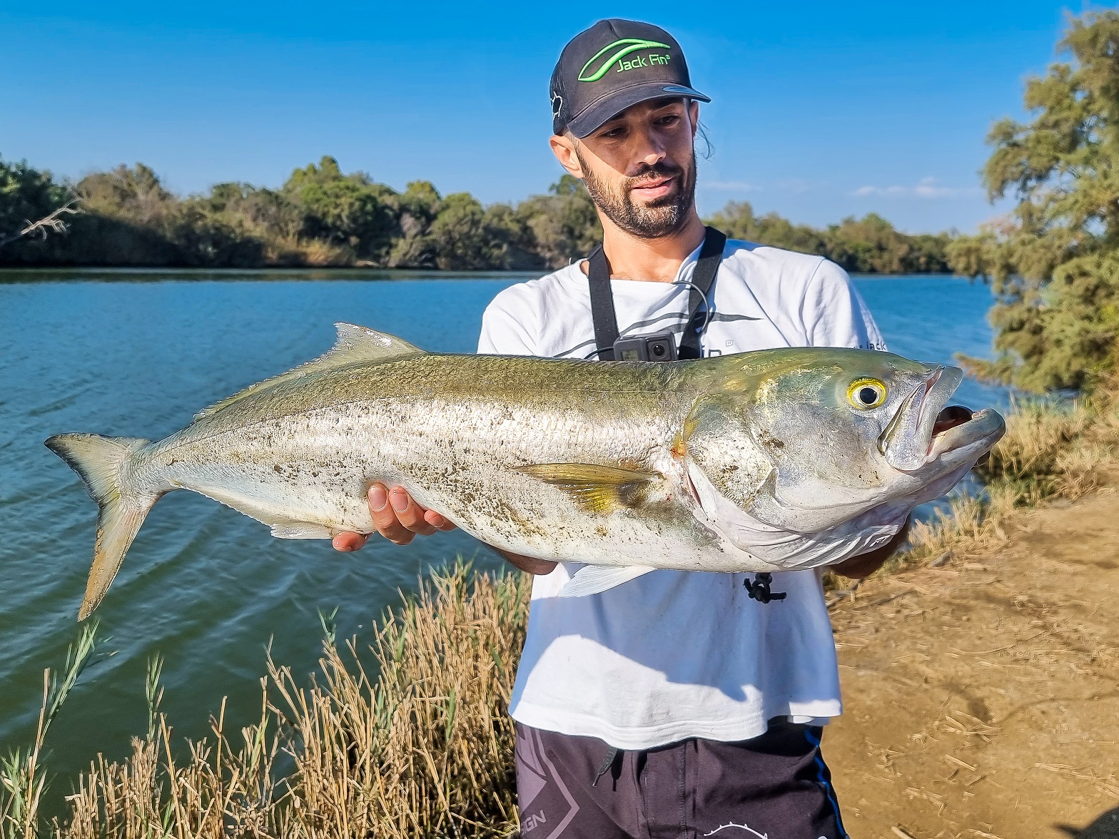 Pesca al Serra in fiume: COME, QUANDO e PERCHE’ - Planetspin