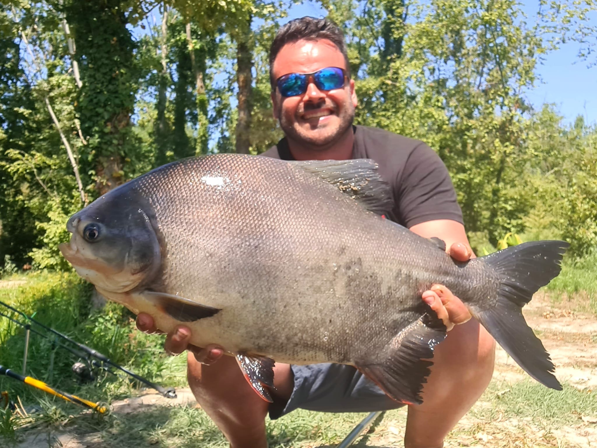 ITINERARIO PESCA LOMBARDIA – il lago River Monsters a Gambolò (PV ...