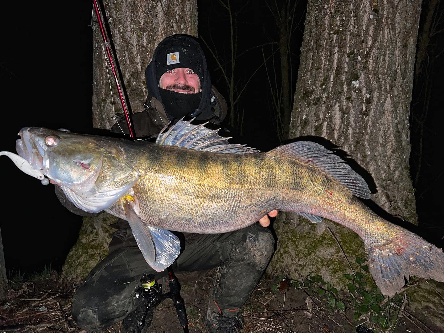 Un luccio da record (e non solo) a spinning in solitaria - Planetspin