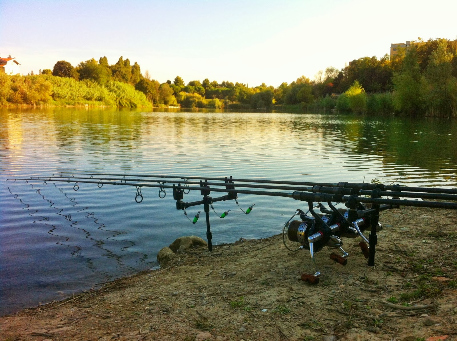 ITINERARIO PESCA EMILIA ROMAGNA – Il Panaro tra Fanano e Vignola (MO ...