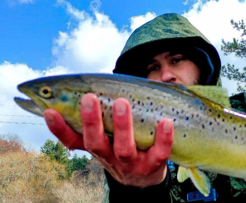 ITINERARIO PESCA CALABRIA – il lago CECITA - Planetspin