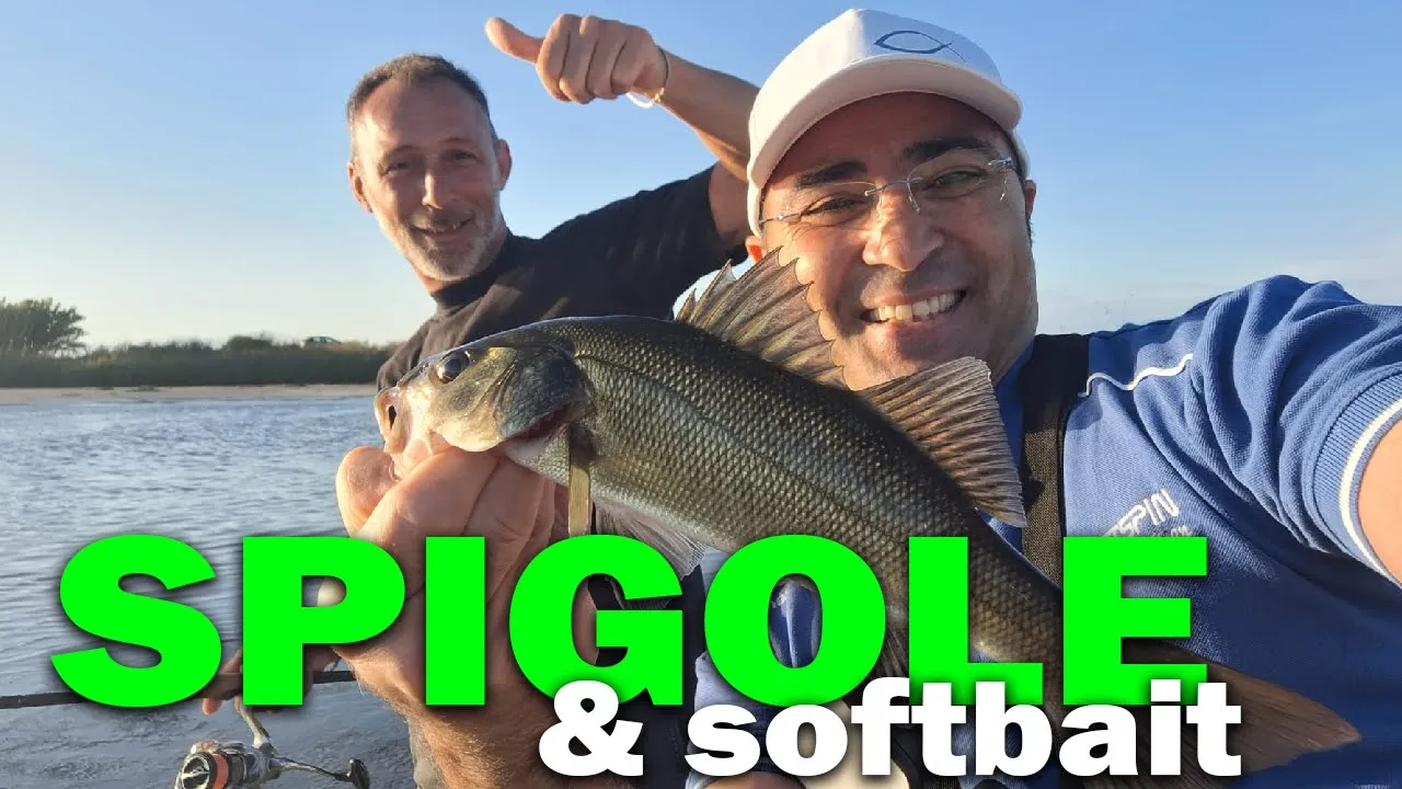 SPIGOLE COME TROTE IN CADUTA: I SEGRETI DELLE SOFTBAIT NEL LIGHT ...